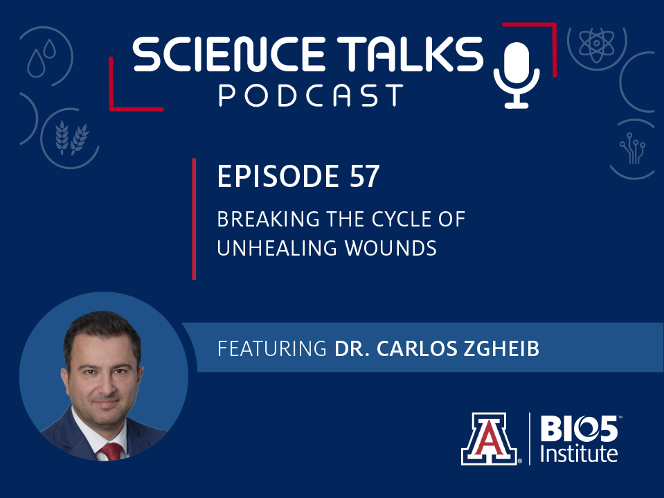 Breaking the cycle of unhealing wounds | BIO5 Institute